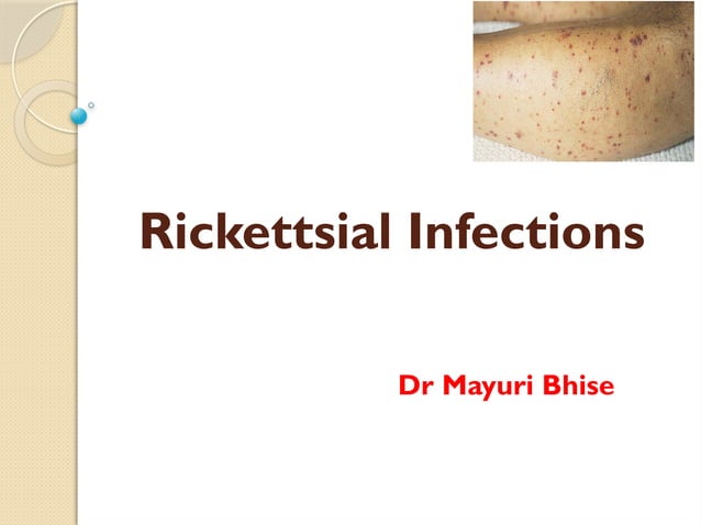 Rickettsia Infections.-(Introduction General characters Pathogenesis ...