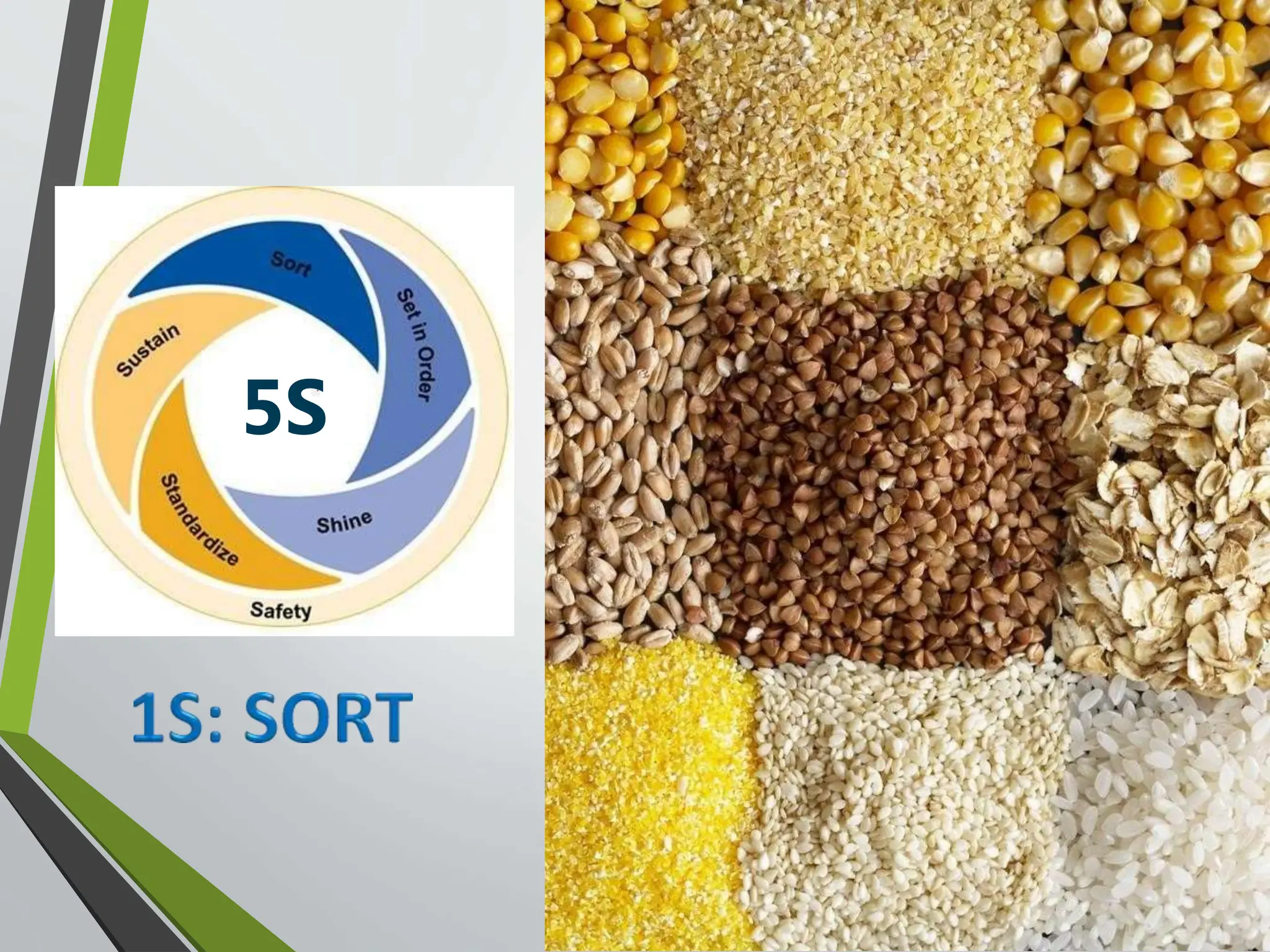 5S Rules HSE Training workers (1).pptx