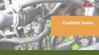 Sprinter Coolant Leak