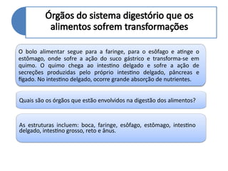 5 SISTEMA DIGESTÓRIO.pptxKJJJJJJJJJJJJJJ,M | PPTX