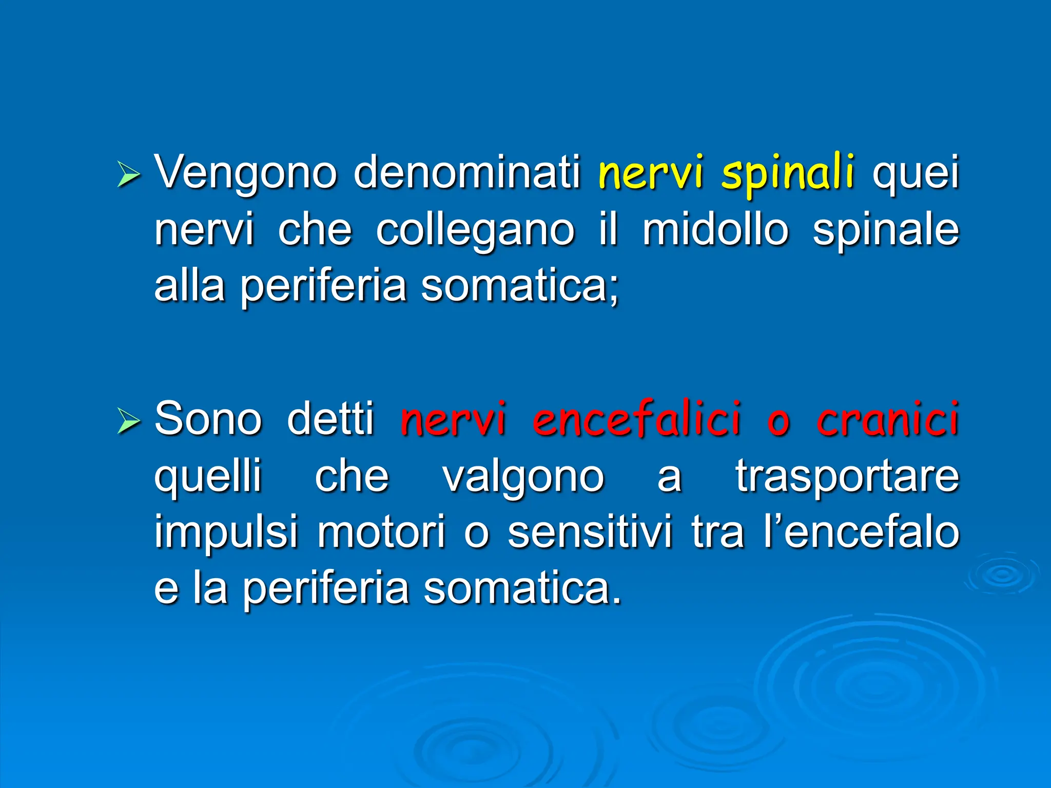 5 SISTEMA NERVOSO PERIFERICOoooooooo.ppt