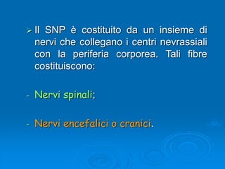 5 SISTEMA NERVOSO PERIFERICOoooooooo.ppt