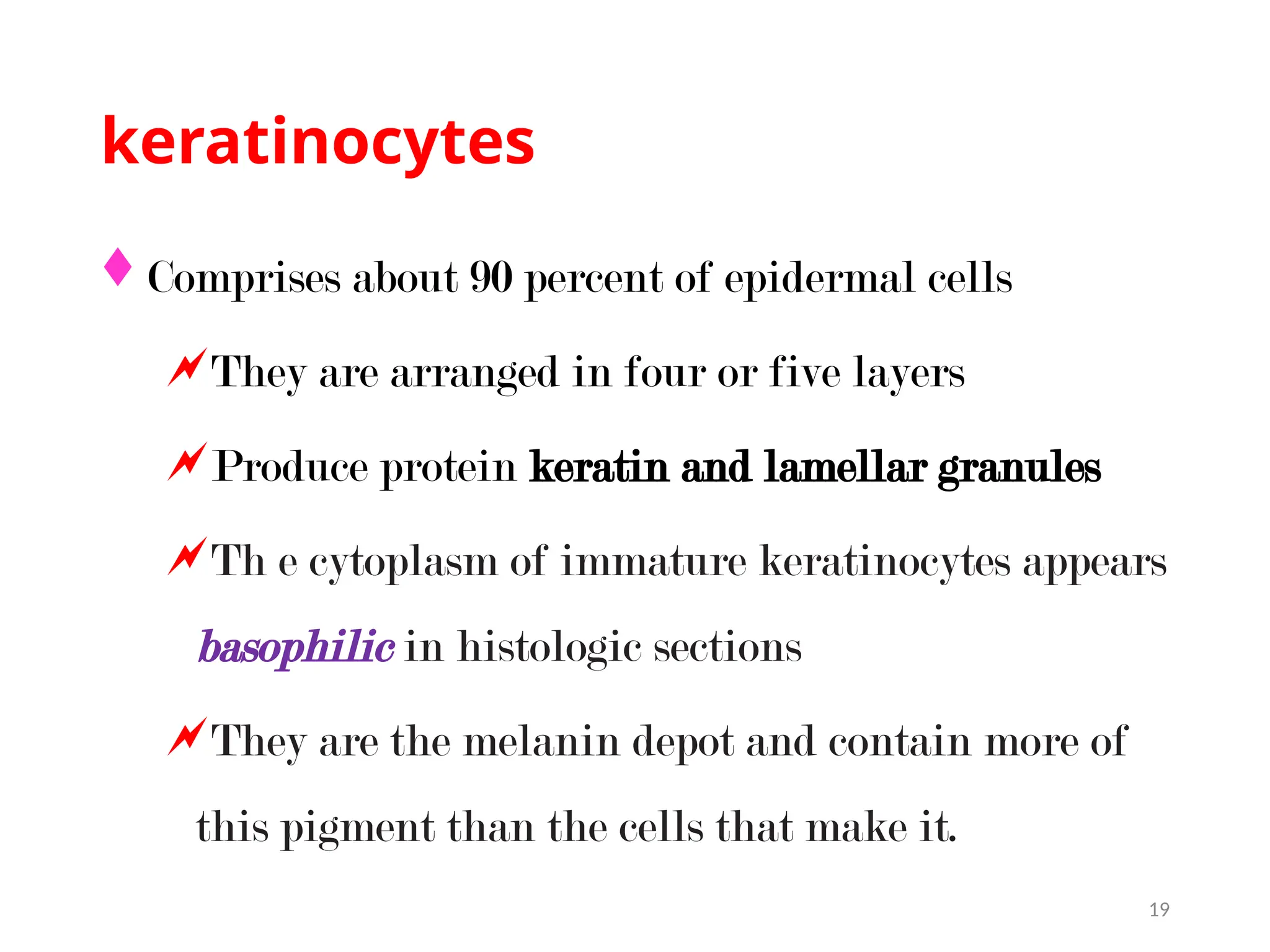 5skin gross anatomy and embryology .pptx