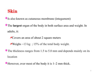 5skin gross anatomy and embryology .pptx
