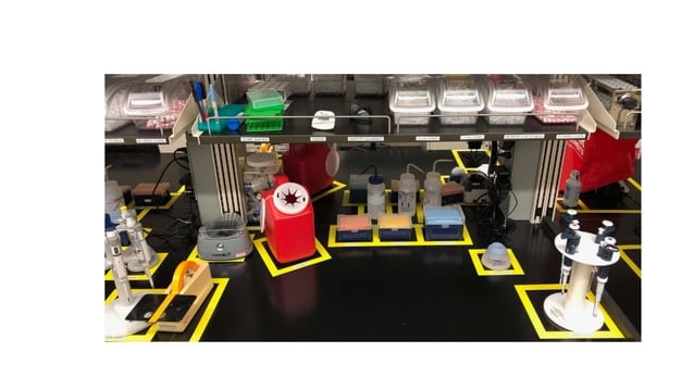 5 S Laboratory.pptx | Business Administration | Business