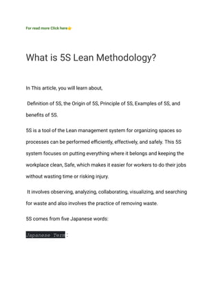 5 S Lean.pdf