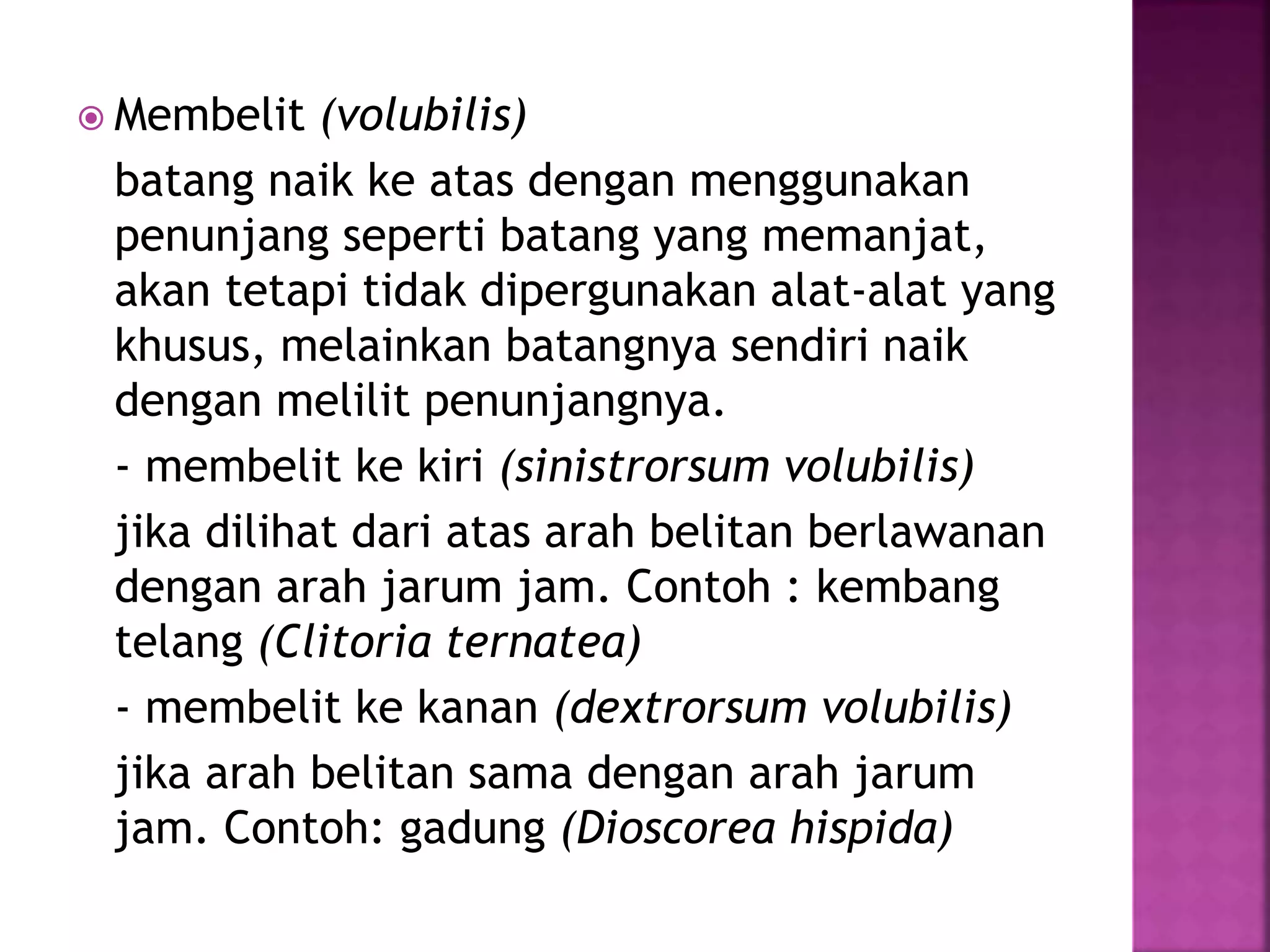 PPT Morfologi Tumbuhan - Batang | PPTX