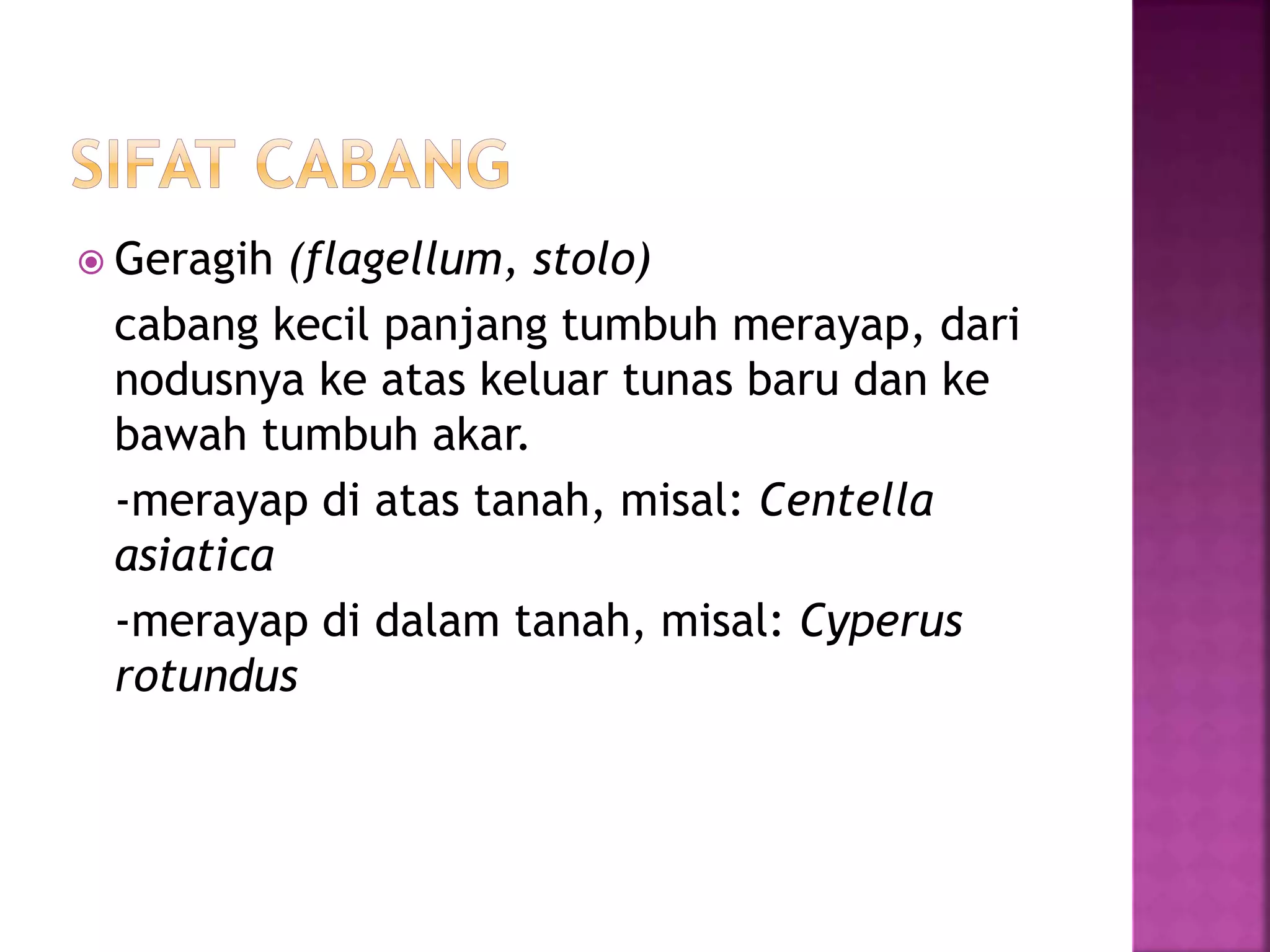 PPT Morfologi Tumbuhan - Batang | PPTX