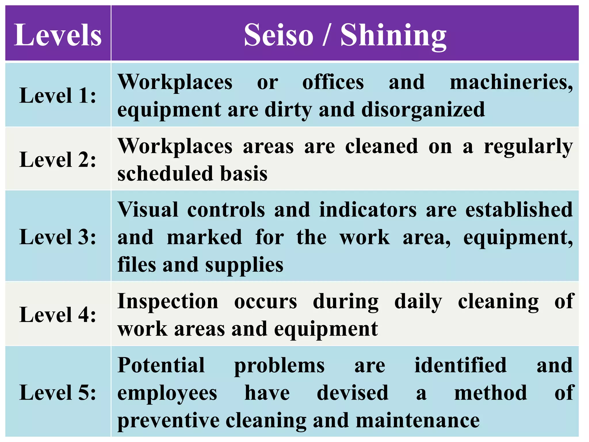 5S level of excellence | PDF