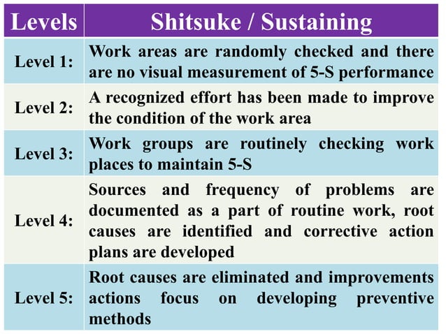 5S level of excellence | PDF | Business and Finance