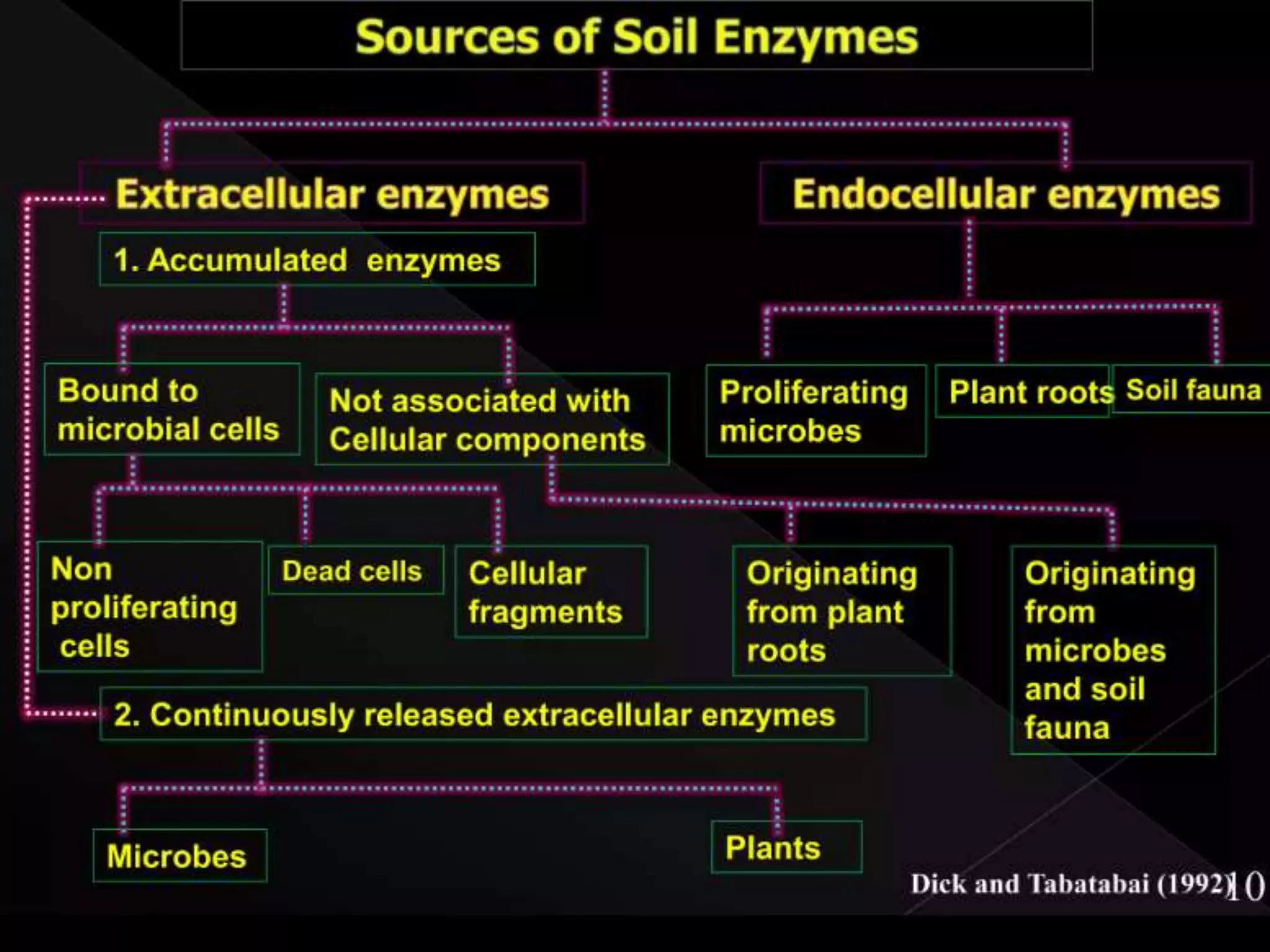 5 Soil enzymes.pptx
