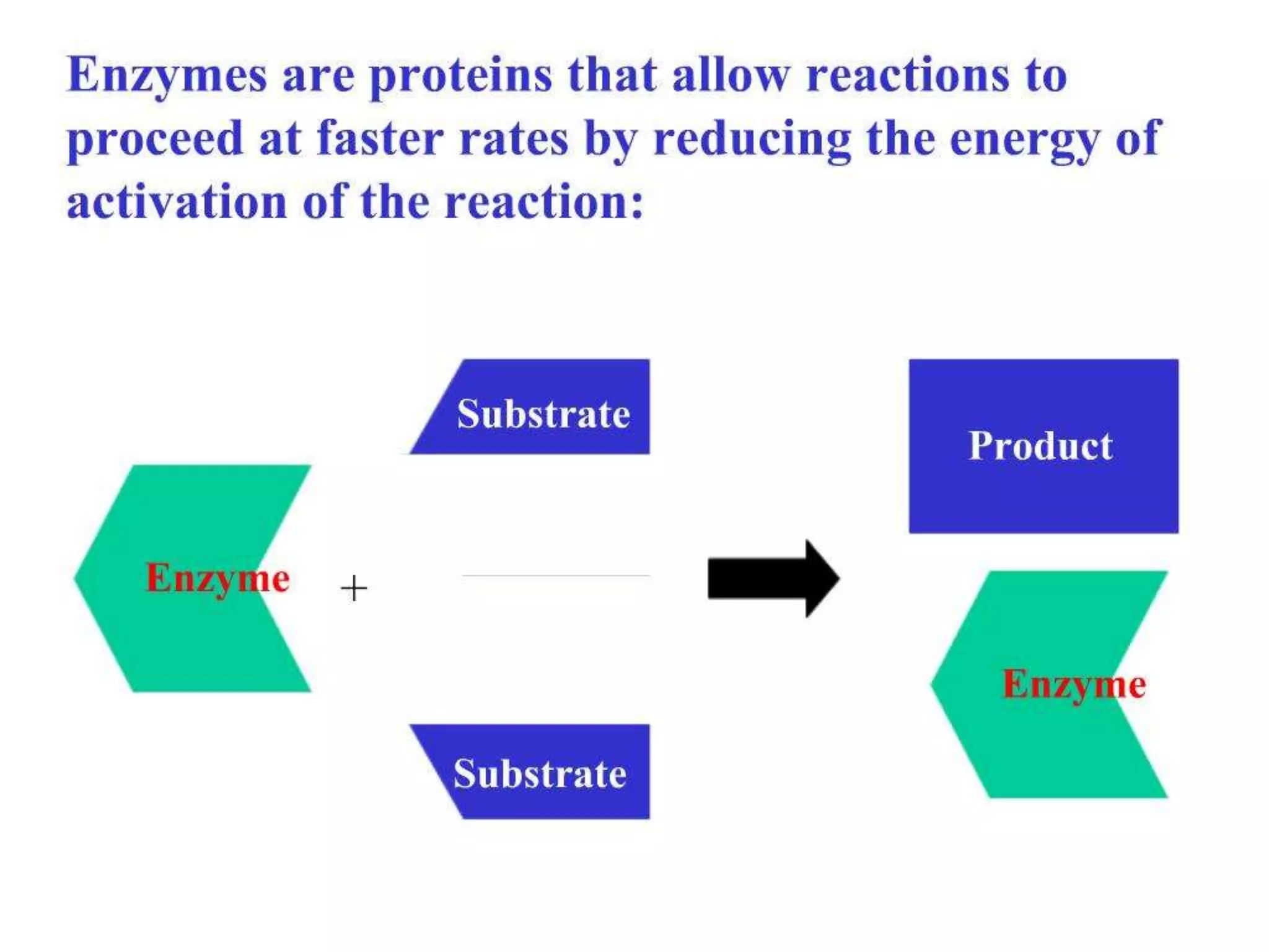 5 Soil enzymes.pptx