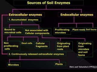 5 Soil enzymes.pptx