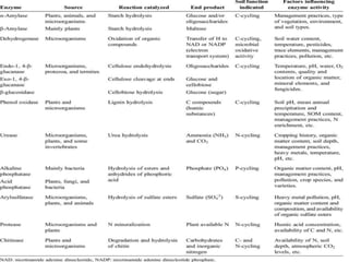 5 Soil enzymes.pptx