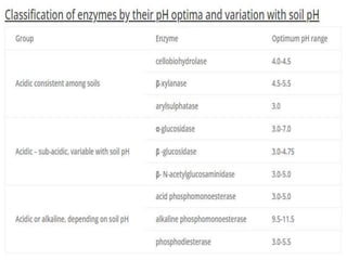 5 Soil enzymes.pptx