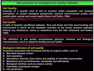 5 Soil enzymes.pptx