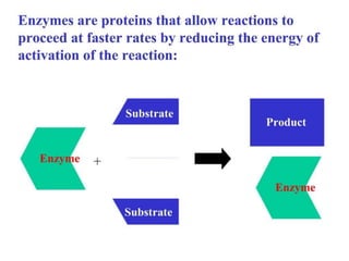 5 Soil enzymes.pptx