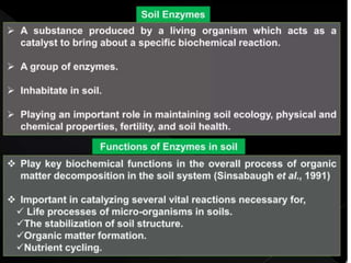 5 Soil enzymes.pptx
