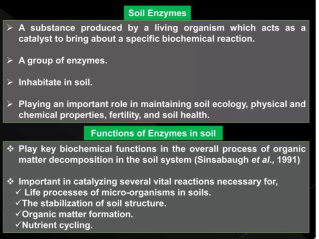 5 Soil enzymes.pptx