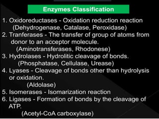 5 Soil enzymes.pptx