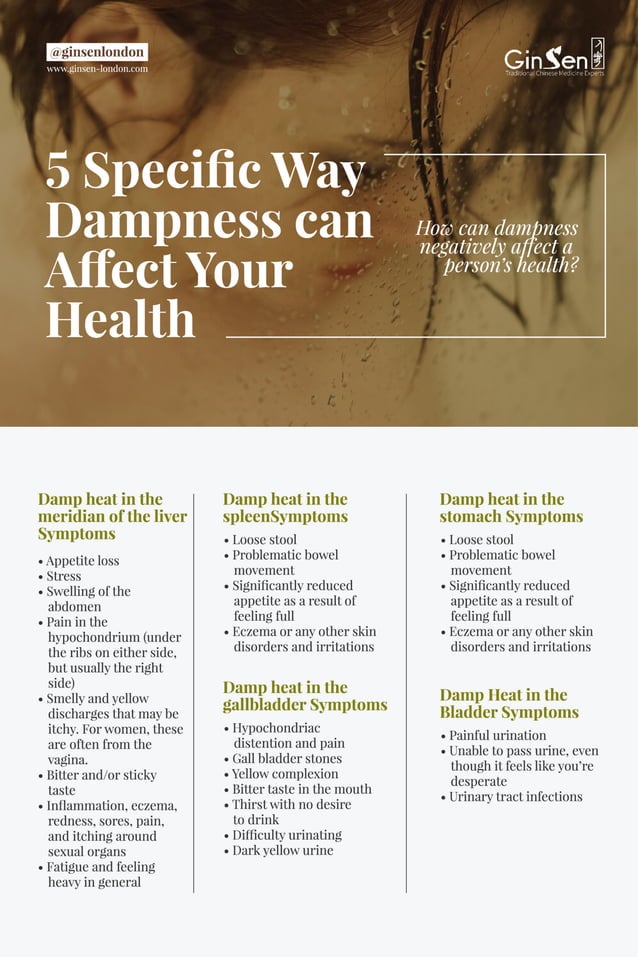 5 Specific Way Dampness Can Affect Your Health | PDF