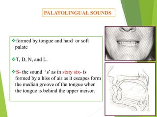 speech and phonetics | PPTX