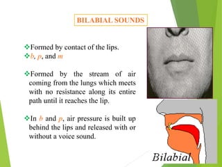 speech and phonetics | PPTX