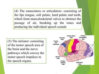 speech and phonetics | PPTX