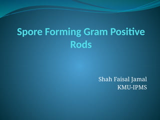 5) Spor forming Gram(+)Rod explanation.pptx