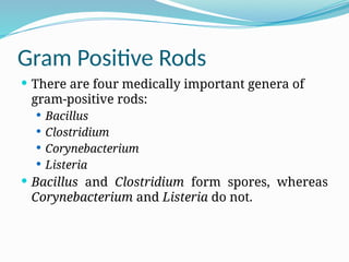 5) Spor forming Gram(+)Rod explanation.pptx