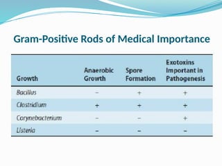 5) Spor forming Gram(+)Rod explanation.pptx