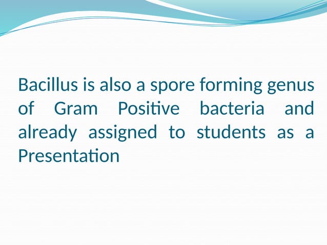 5) Spor forming Gram(+)Rod explanation.pptx