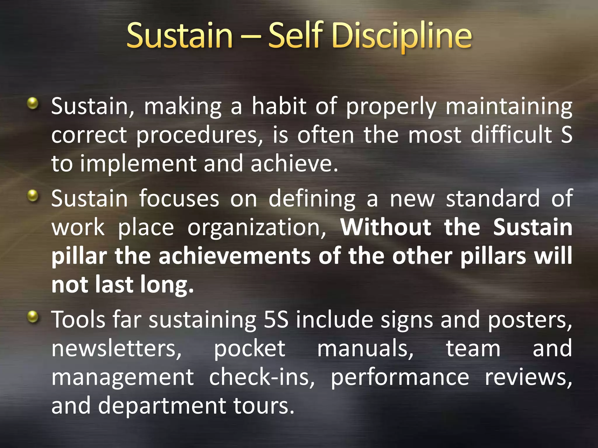 5S - Lean Manufacturing Methodology | PDF