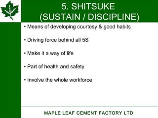 5 S House Keeping Principles | PPT