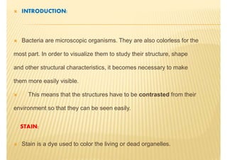 5. Staining techniques (Microbiology) | PDF