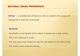 5. Staining techniques (Microbiology) | PDF