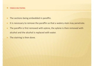 5. Staining techniques (Microbiology) | PDF