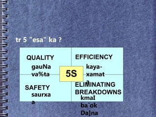 5S Training_Marathi 2.ppt