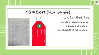 5S Training and Implementation Presentation | PPT