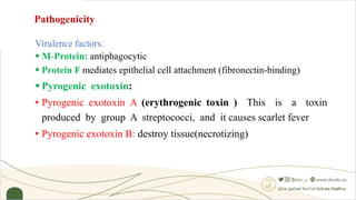 5 Streptococci & Enterococci.pdf