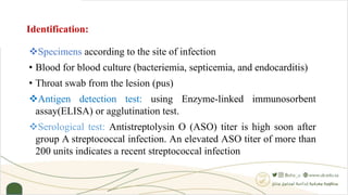 5 Streptococci & Enterococci.pdf