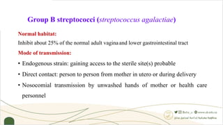 5 Streptococci & Enterococci.pdf