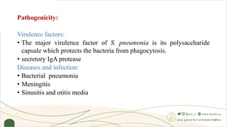 5 Streptococci & Enterococci.pdf