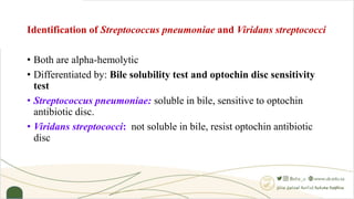5 Streptococci & Enterococci.pdf