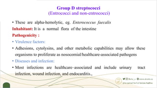 5 Streptococci & Enterococci.pdf
