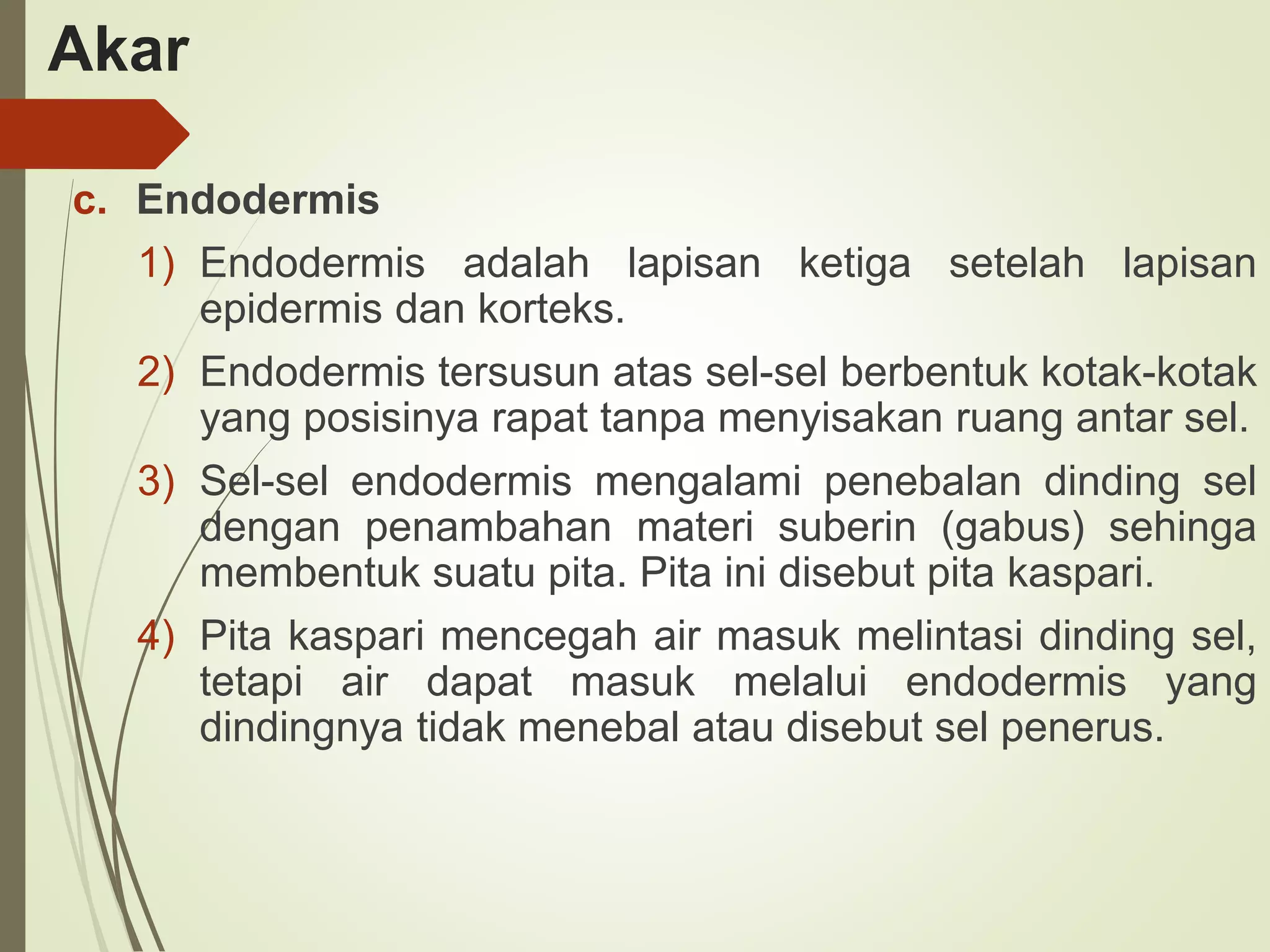 5_Struktur_dan_Fungsi_Jaringan_Tumbuhan.pptx