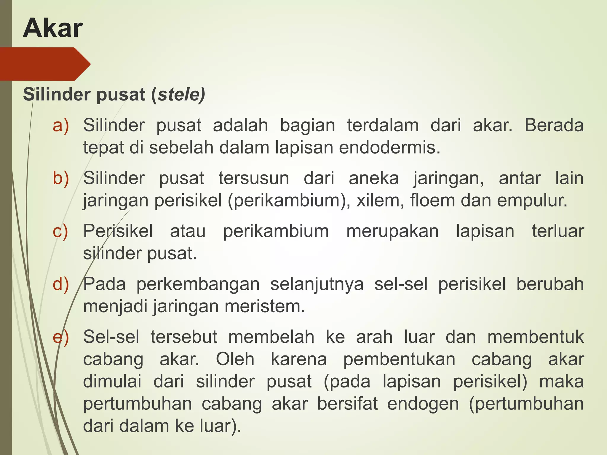 5_Struktur_dan_Fungsi_Jaringan_Tumbuhan.pptx