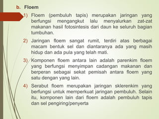 5_Struktur_dan_Fungsi_Jaringan_Tumbuhan.pptx