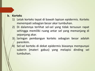 5_Struktur_dan_Fungsi_Jaringan_Tumbuhan.pptx