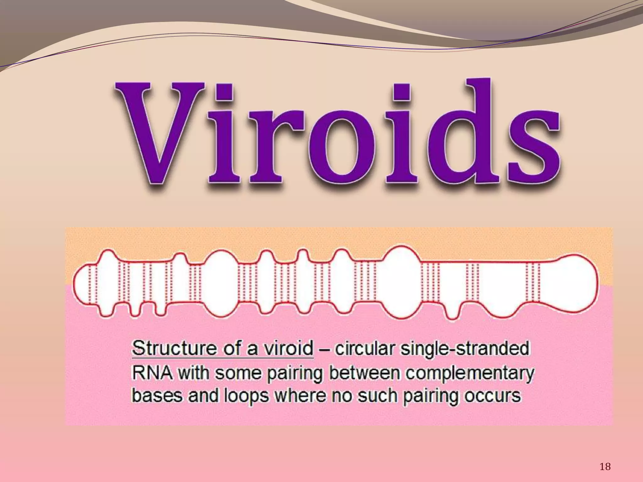5 subviral agents-sattelite_viroids_prions.pptx